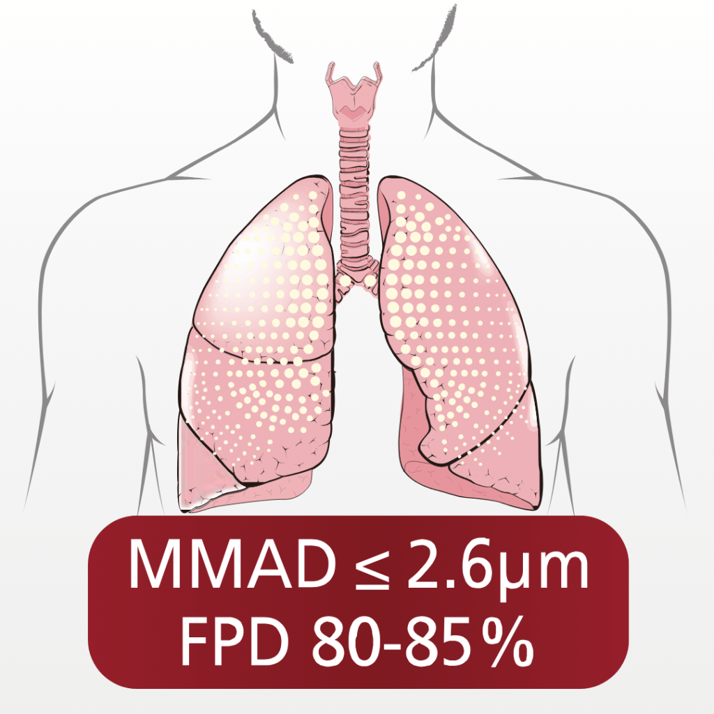 Rossmax Piston Nebulizer NE100 - Rafi Sultan Enterprises